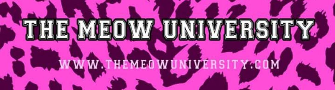 The Meow University - Chicago, IL - Alignable