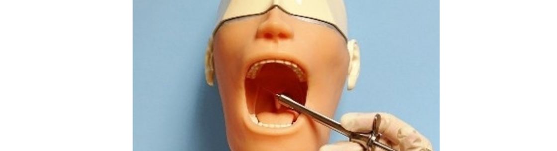 Buyamag Inc. Dental Simulators Manikins Models For Practice Training ...