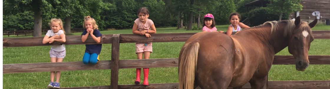 Perseverance Farm, LLC - Moncure Area - Alignable