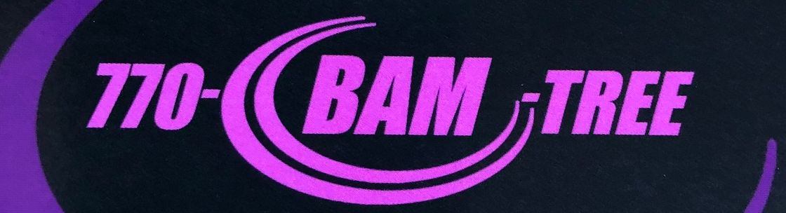 770 Bam Tree 🌲 💥 (Emergency Work 24/7) - Cumming - Alignable