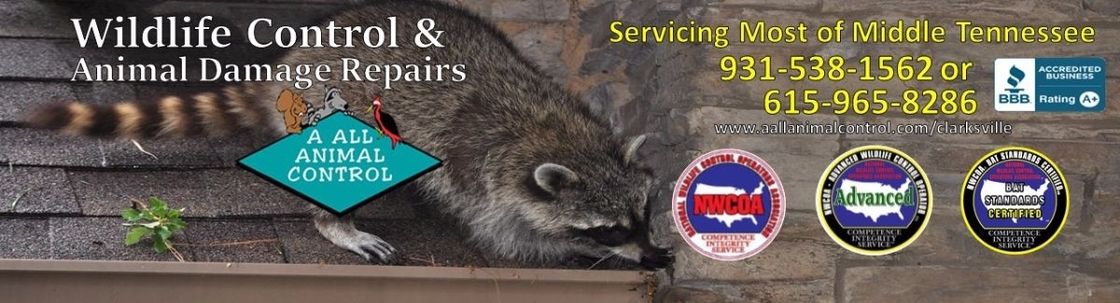 A All Animal Control - Clarksville, TN - Alignable