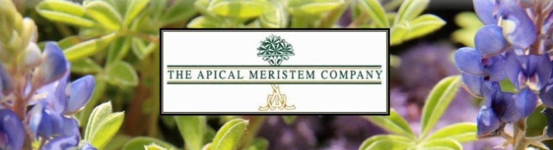 The Apical Meristem Company - Bellaire, TX - Alignable