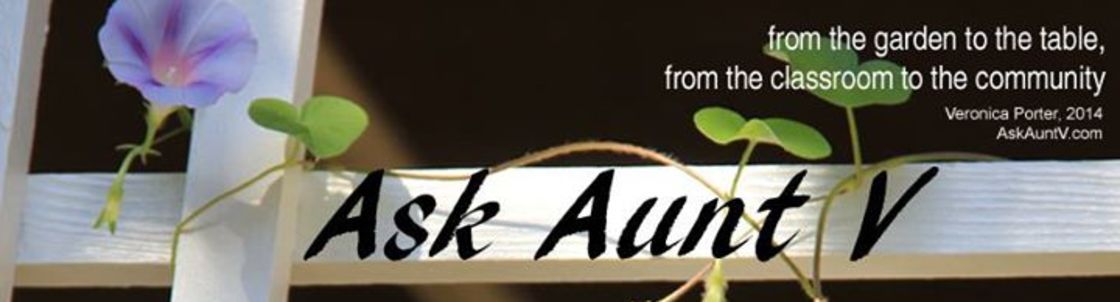 Ask Aunt V - Naperville, IL - Alignable