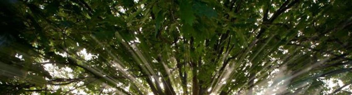 Stephanie Stanton - Natural Health Therapist and Craniosacral Therapist ...