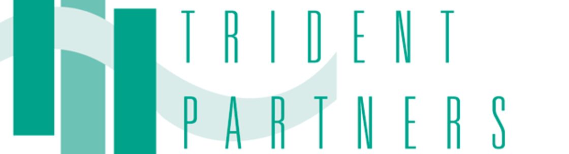 Trident Partners, Ltd. SVP - Financial Advisor - Alignable