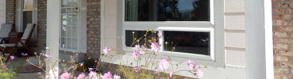 Dan the Window Man - Wheat Ridge, CO - Alignable