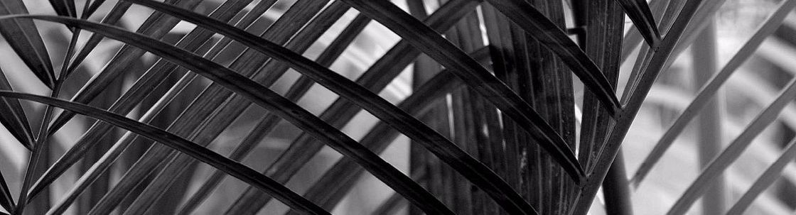 Crystal Meade - Burlington, ON - Alignable