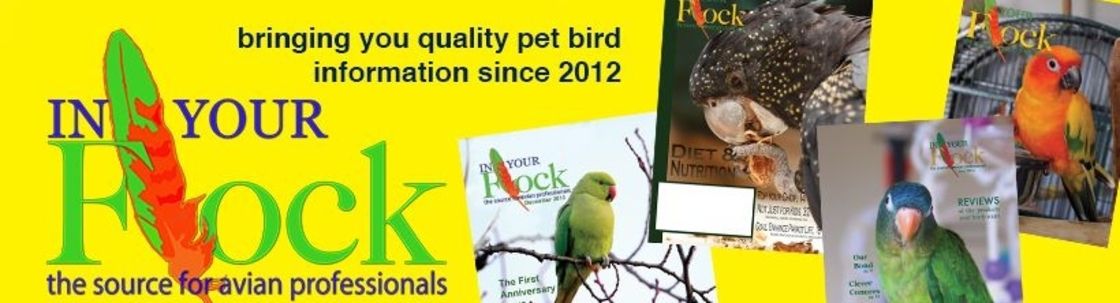 In Your Flock magazine - Beverly Hills Area - Alignable