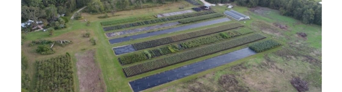 Chestnut Hill Nursery - Alachua, FL - Alignable