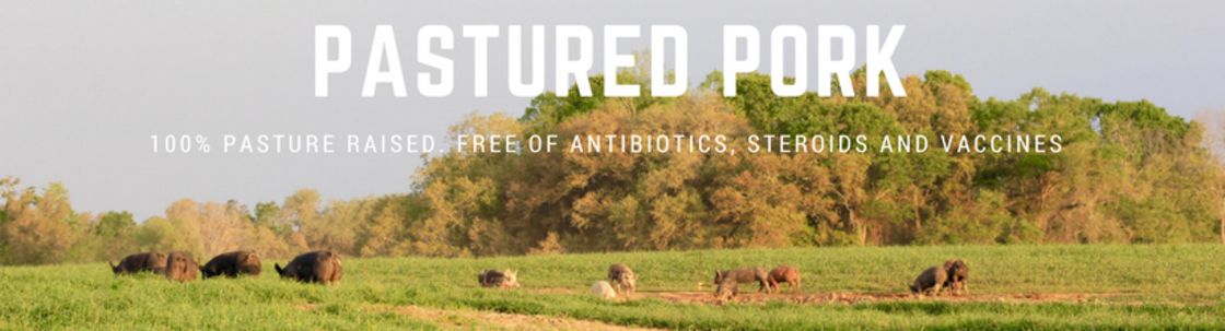 Thompson Farms - Dixie Area - Alignable