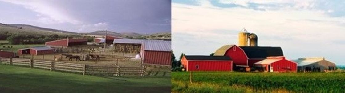 Dexter & Company, Inc. - Dallas, TX - Alignable