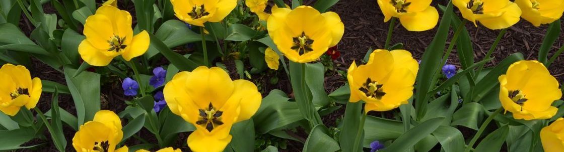 Diane Lawrence, Realtor - Hanover, PA - Alignable