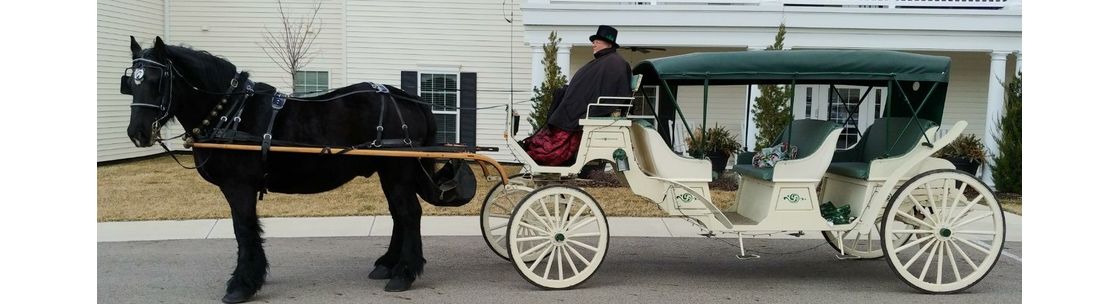 Willow Wind Carriage Service and Willow Wind Livery Service, LLC ...
