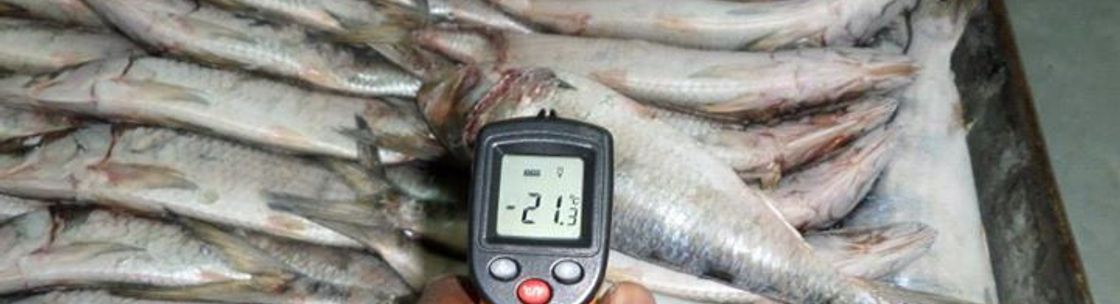 CAAF DISTRIBUTION FISH & SEAFOOD LTD - Calgary, AB - Alignable