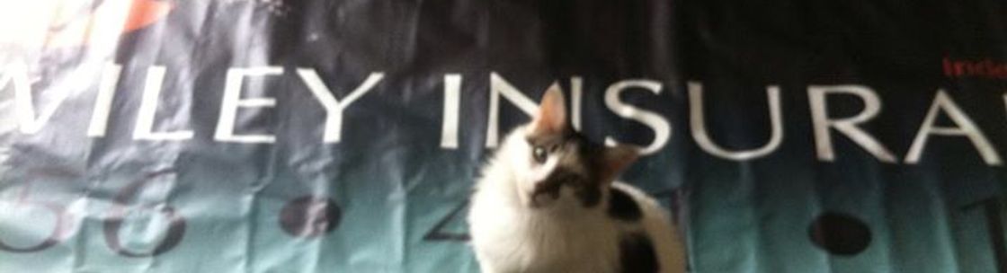 Wiley Insurance Agency Inc - Madison, AL - Alignable