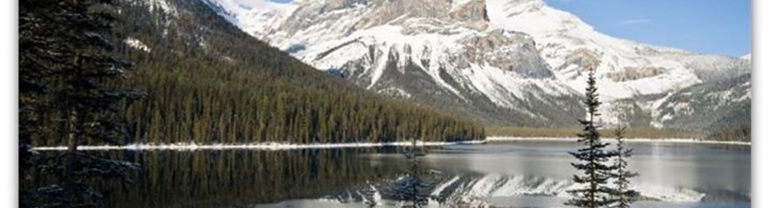 Randy's Sharpening Service - Arvada, CO - Alignable