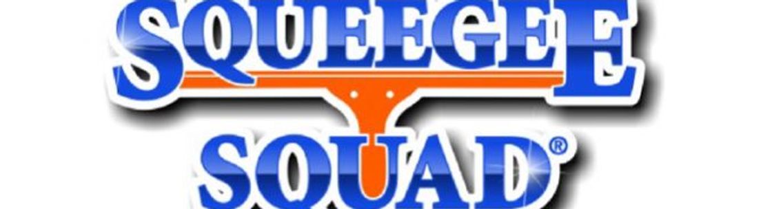 Squeegee Squad - Rochester - Rochester, MN - Alignable