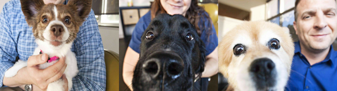 Summit Veterinary Referral Center - Tacoma, WA - Alignable