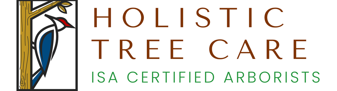 Holistic Tree Care - Silverdale, WA - Alignable