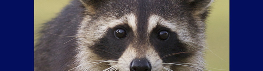 ADC Animal Damage Control - Parker, CO - Alignable