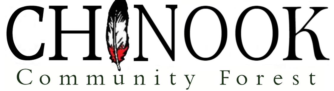 Chinook Community Forest not committed to old growth deferrals - Tree ...