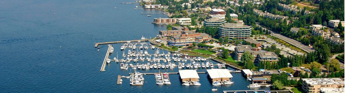 ProDims LLC - Kirkland, WA - Alignable