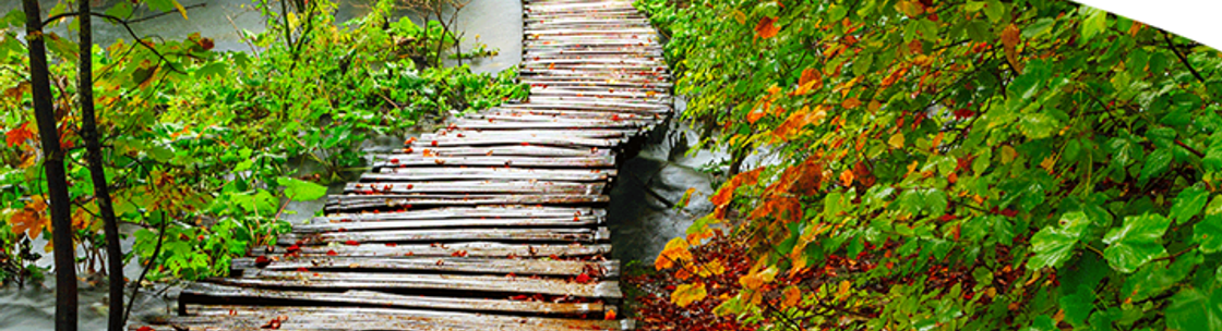 Shelly Kuroski - Thrivent Financial - Racine, WI - Alignable