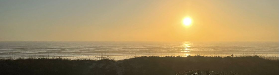 Steve Gansler, Executive Vice President at Janney Montgomery Scott LLC ...