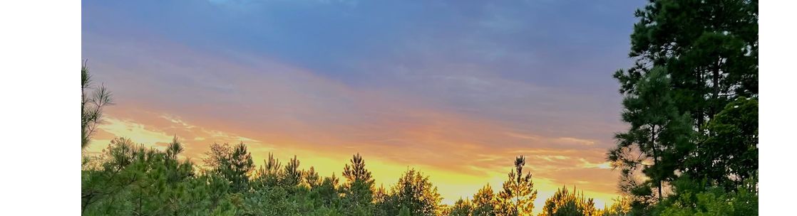 Sandy Ridge Campground and RV Resort - Elizabethtown - Alignable