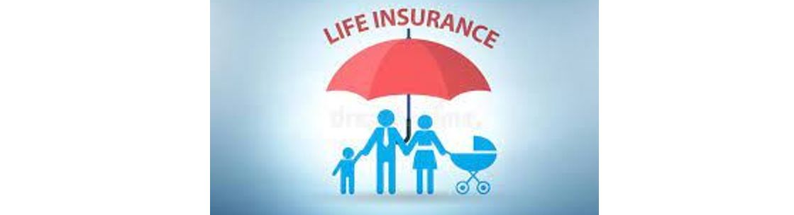 L&J Insurance Broker - Detroit, MI - Alignable