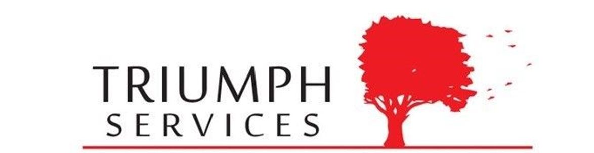 Triumph Services - Charlotte, NC - Alignable