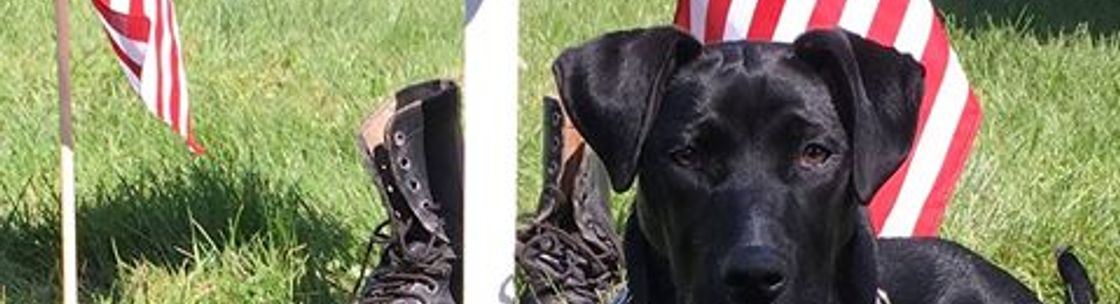 Tails of Valor Paws of Honor - Coopersburg, PA - Alignable