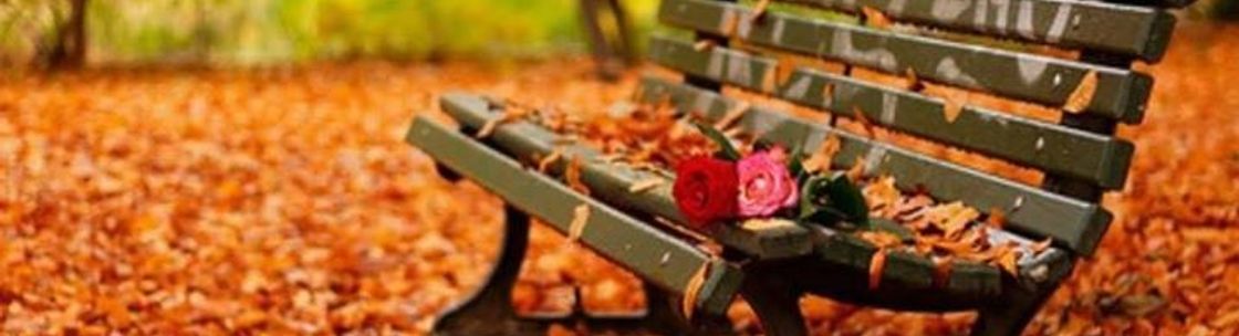 Amy Effman Psychotherapy Services - Boca Raton, FL - Alignable