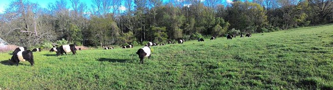 Totten Family Farm - Long Valley, NJ - Alignable