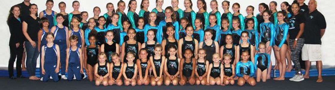 Naples Progressive Gymnastics - Naples, FL - Alignable