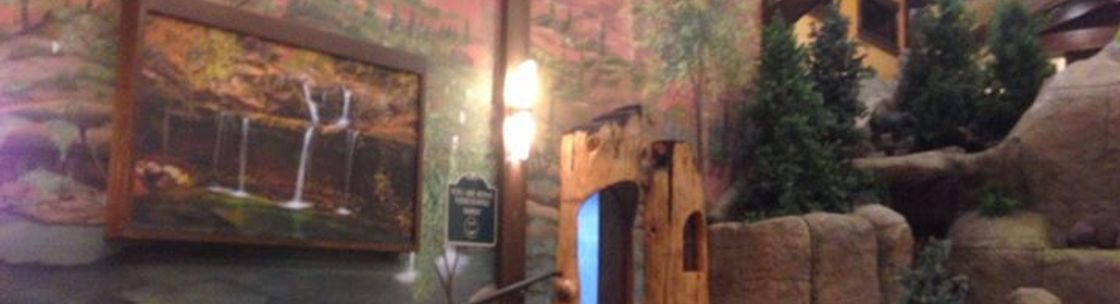 Liquid Wall Design And Graphic Decor - Morgan Area - Alignable