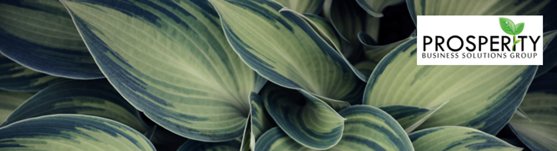 Prosperity Business Solutions Group - Garland, TX - Alignable