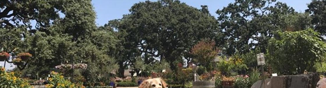 Alden Lane Nursery - Livermore, CA - Alignable