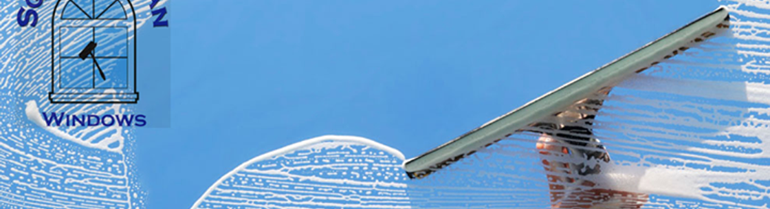 Squeaky Clean Windows - Southlake, TX - Alignable