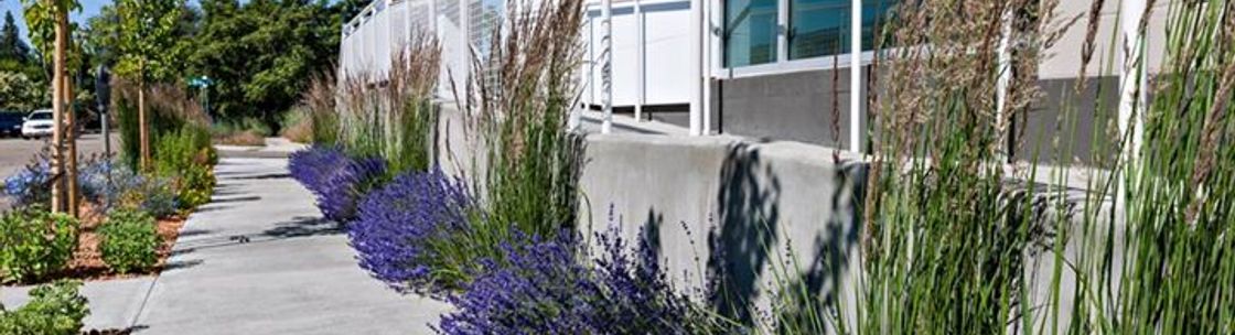 CSHQA, Inc. - Sacramento, CA - Alignable