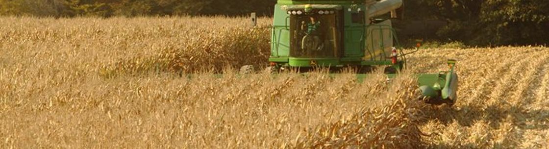 Burrus Seed Farms Jacksonville - Jacksonville, IL - Alignable