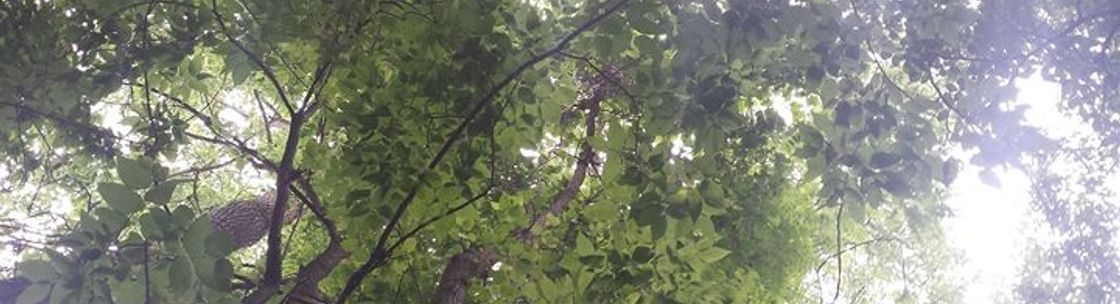 Otte Enterprises - Erlanger, KY - Alignable