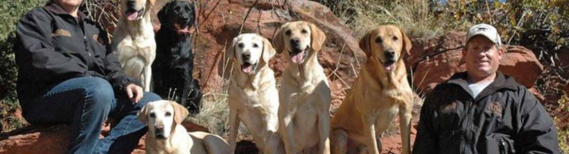 Bearpoint Kennel and Black Forest Kennels - Calhan - Alignable