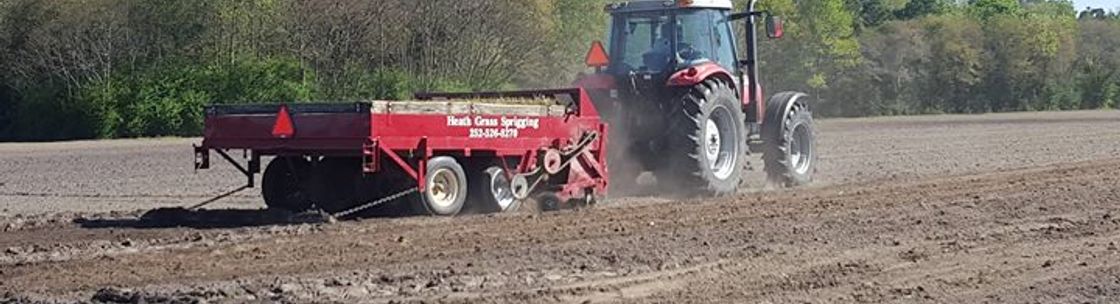 Heath Grass Sprigging - Pink Hill Area - Alignable