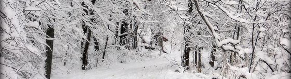 Harpeth True Value - Franklin, TN - Alignable