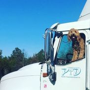 PTD inc - Roebuck Area - Alignable