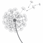 Paula Timon, LCSW - Sierra Madre, CA - Alignable