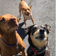 John Edwards Real Estate, Inc. - New York, NY - Alignable