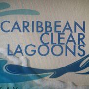 Caribbean Clear Lagoons - Bradenton, FL - Alignable