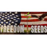 Freedom Seeds LLC - Shepherdsville, KY - Alignable